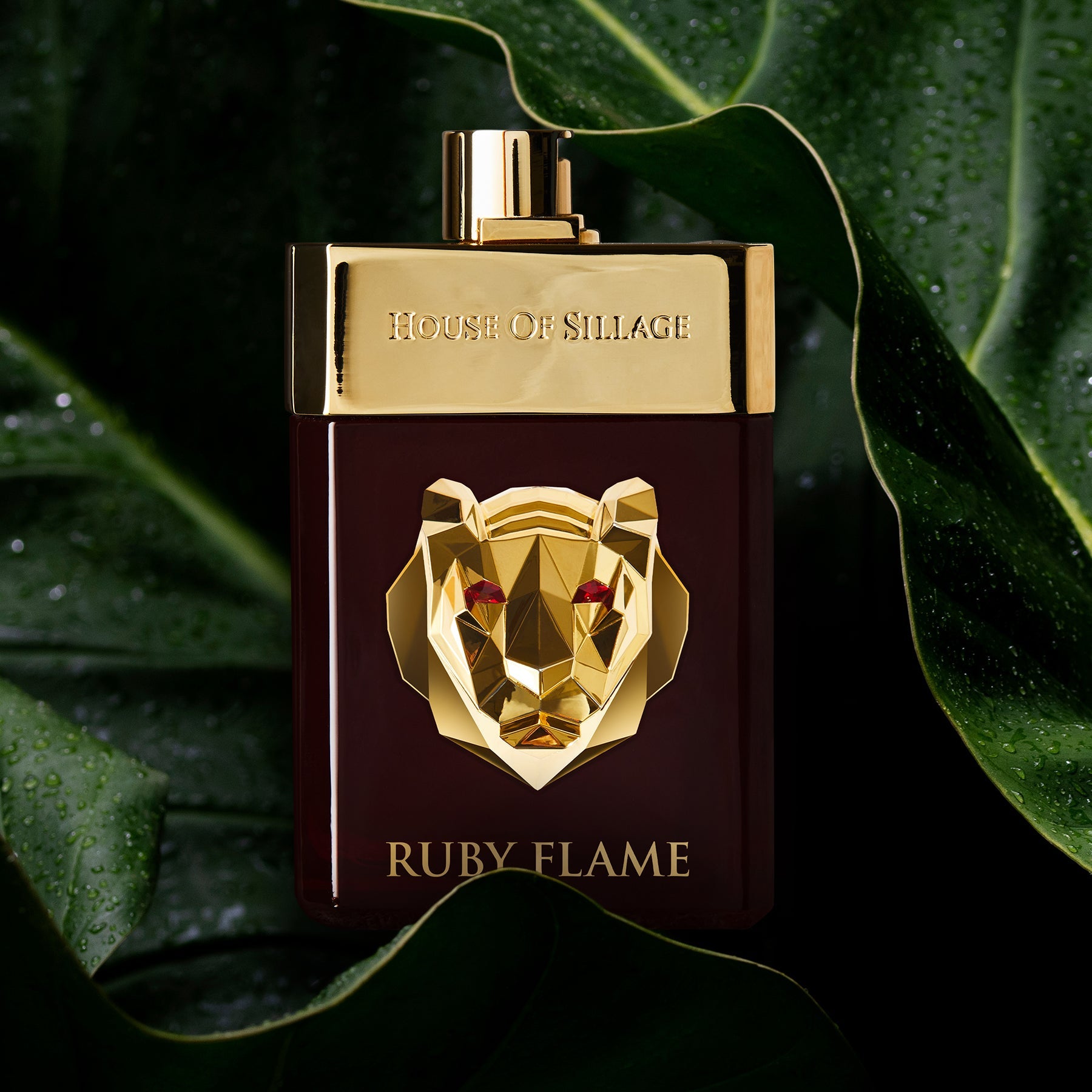 Ruby Flame Fragrance - Limited Edition – House of Sillage Global